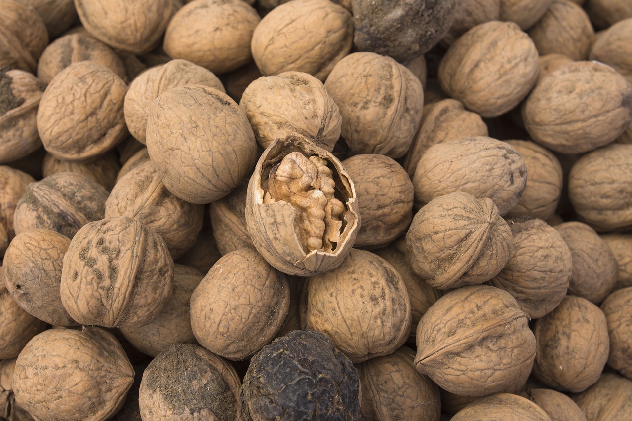 Les bienfaits des noix, amandes et pistaches pour la santé.