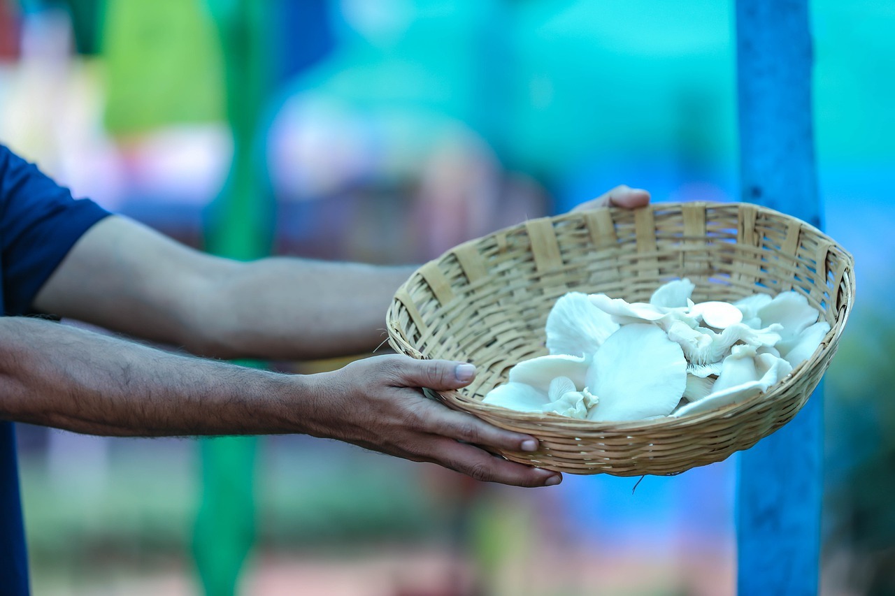 raisons saines d'aimer manger des champignons